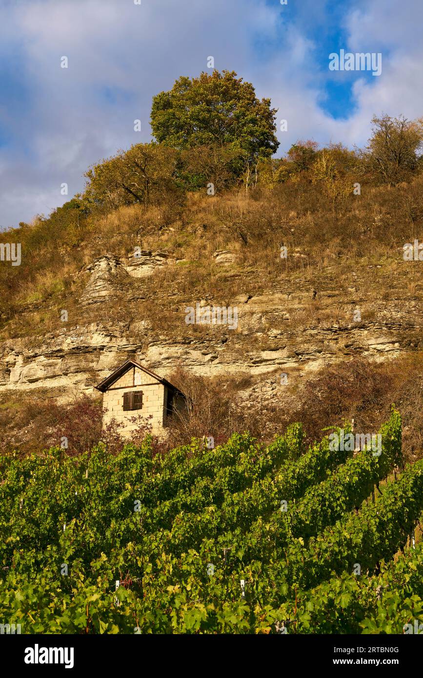 Main bluff below the vineyards of Stetten and the Main valley between ...