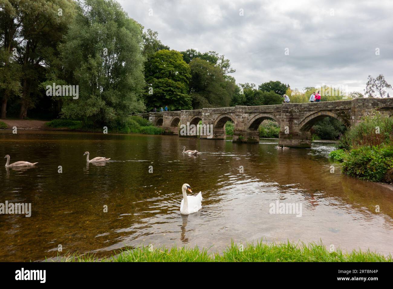 Essex Bridge, River Trent Stock Photo - Alamy