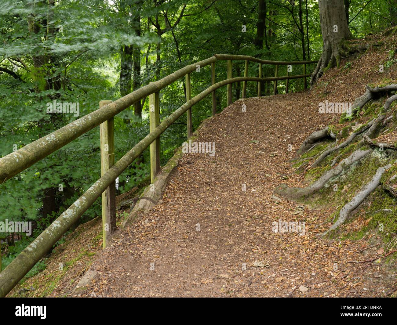 Rectory woods hi-res stock photography and images - Alamy