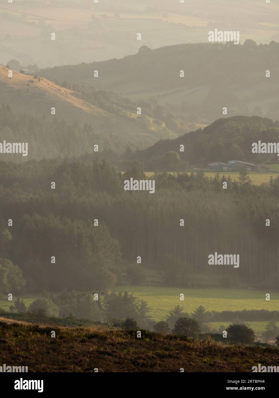 Scenery viewed from Stiperstones, a rocky quartzite ridge in South ...