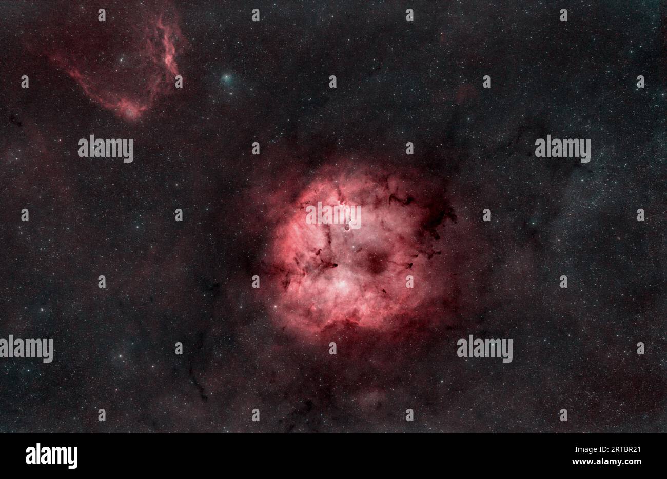 The elephant trunk nebula (IC 1396) and flying bat nebula (Sh2-129) in ...