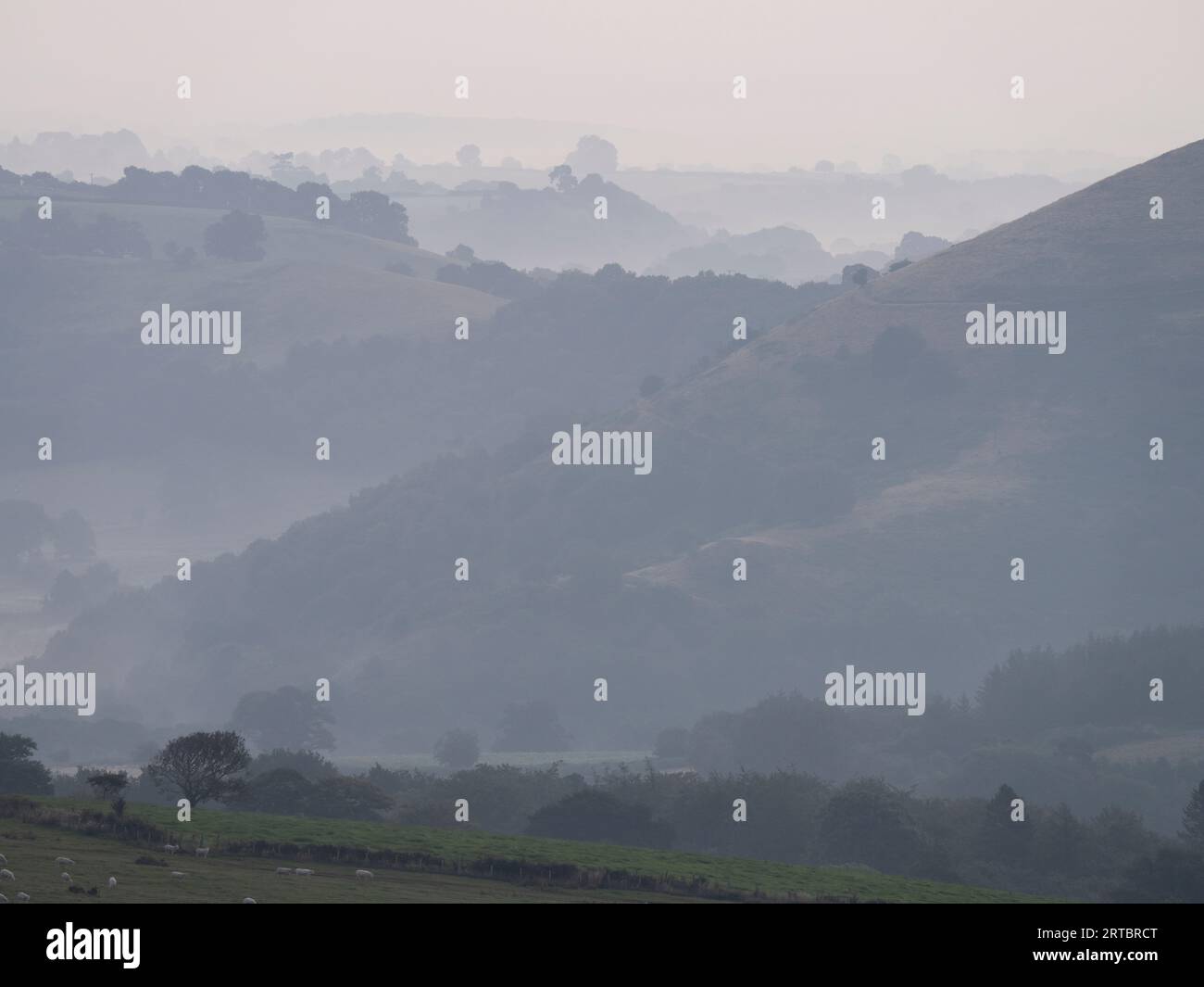 Scenery viewed from Stiperstones, a rocky quartzite ridge in South ...