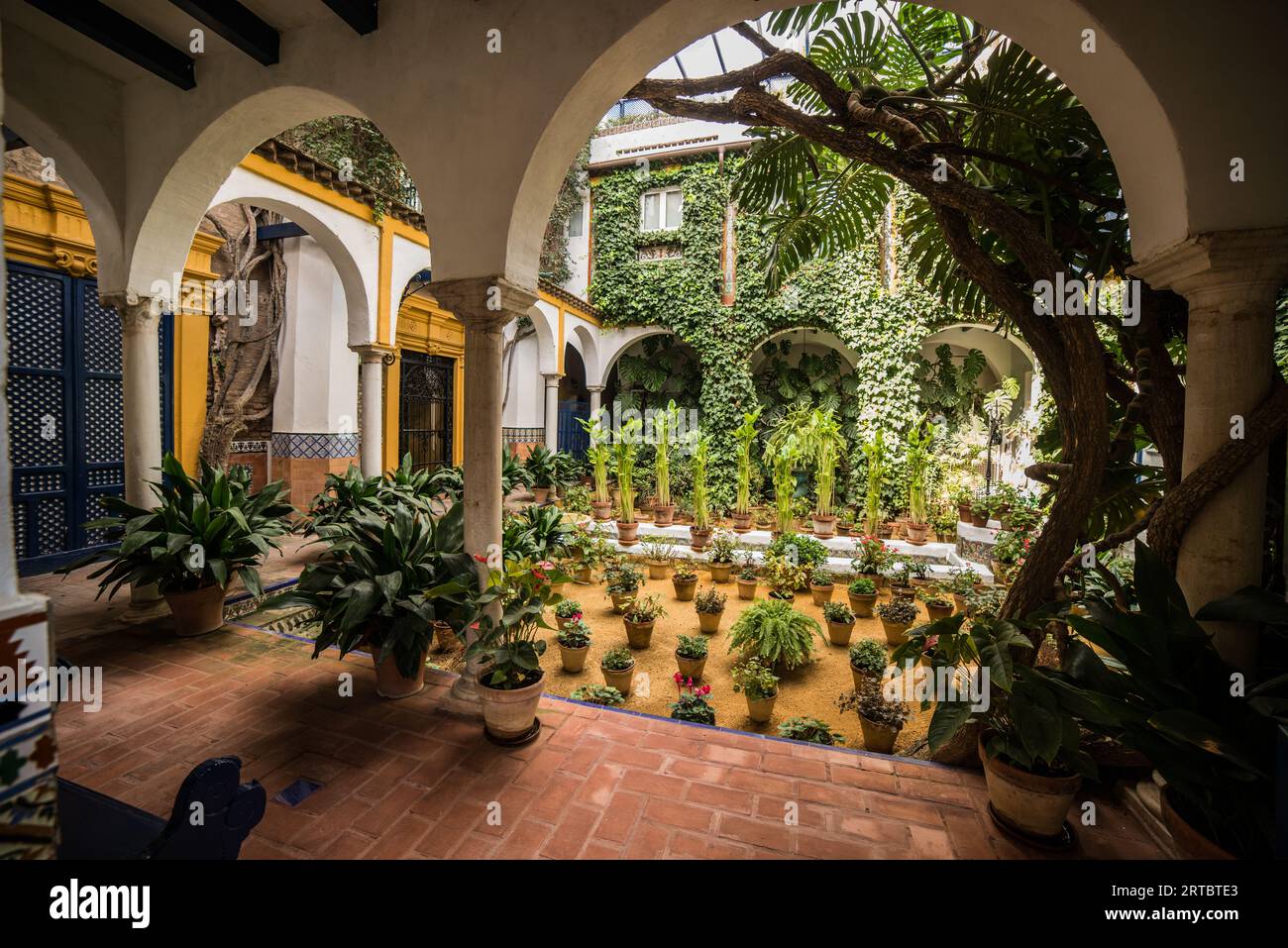 Interior house garden (Patio Sevillano), Seville, Andalucia, Spain ...