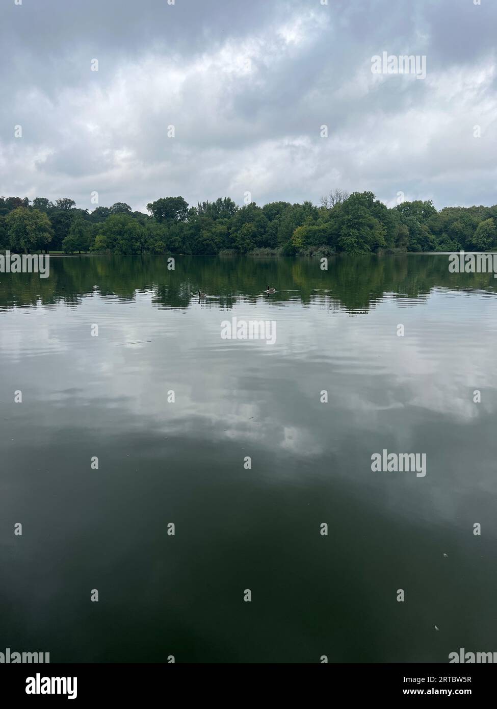 Reflections in ghe l;ake in Prospect Psrk, Brooklyn, New York Stock ...