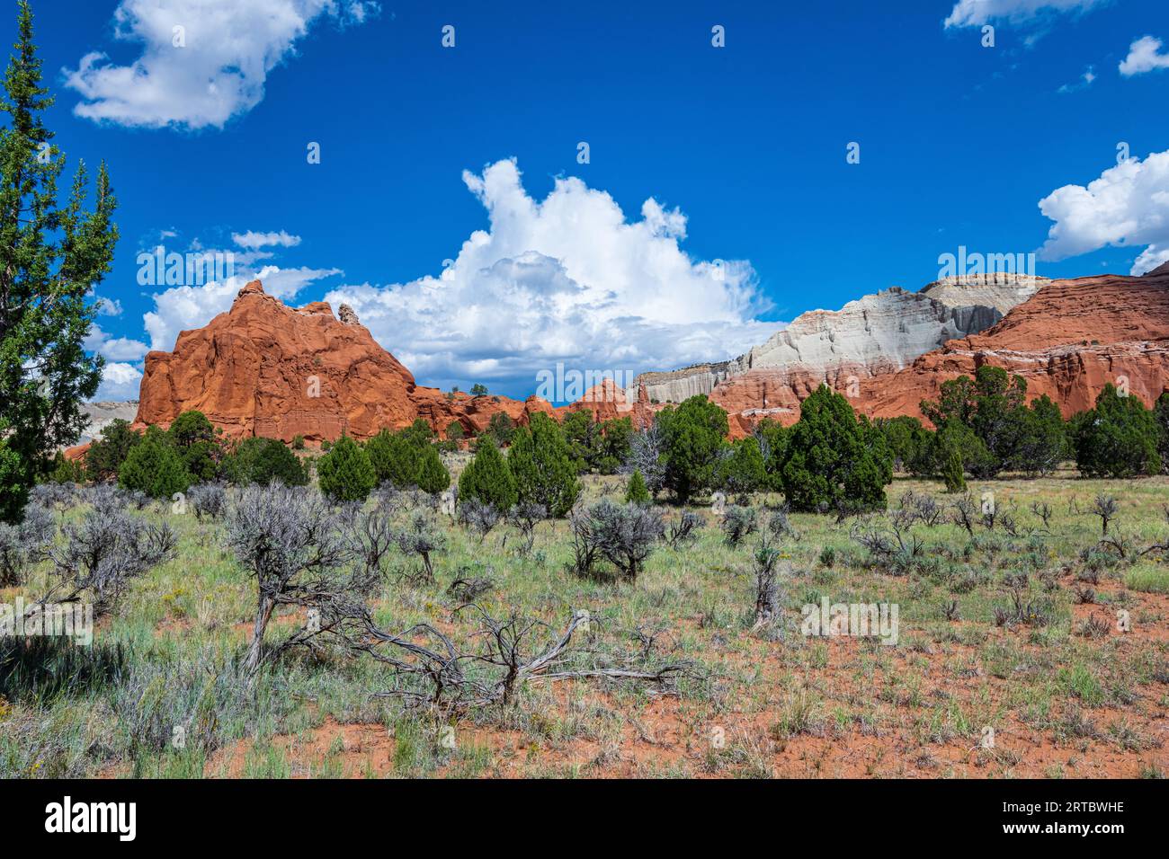 Towering monolithic spires or chimneys jut up from the valley floor or ...