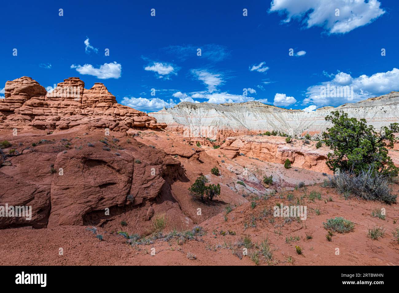 Towering monolithic spires or chimneys jut up from the valley floor or ...