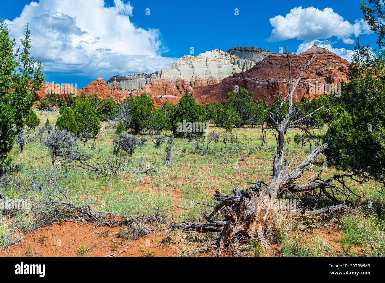 Towering monolithic spires or chimneys jut up from the valley floor or ...