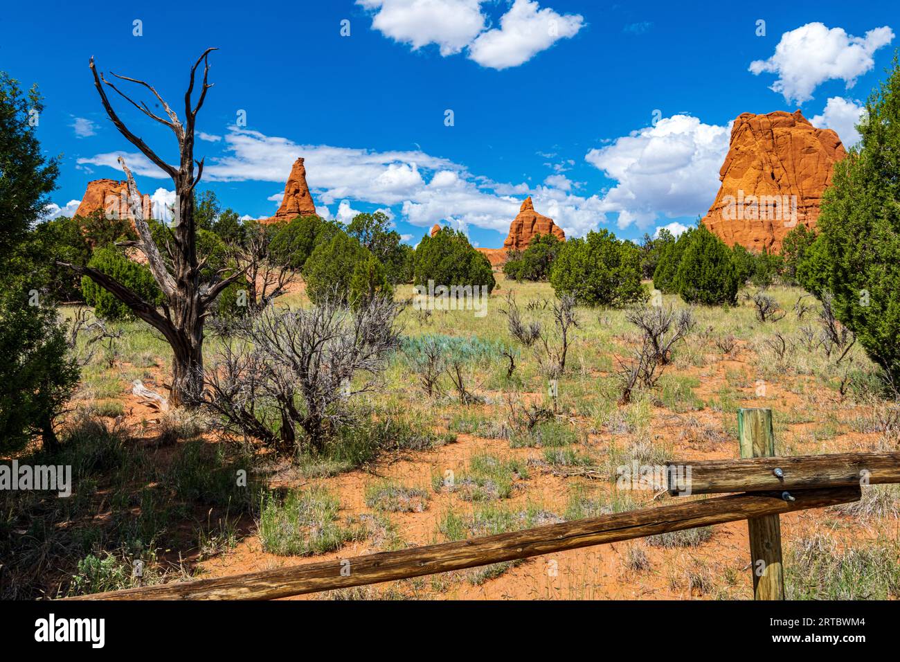 Shrubs surround hi-res stock photography and images - Alamy