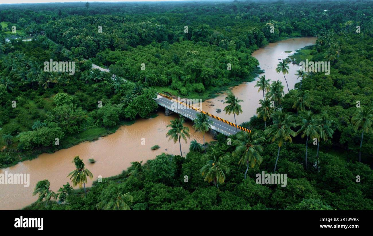 A dirt road winds its way through a lush, tropical rainforest, leading ...