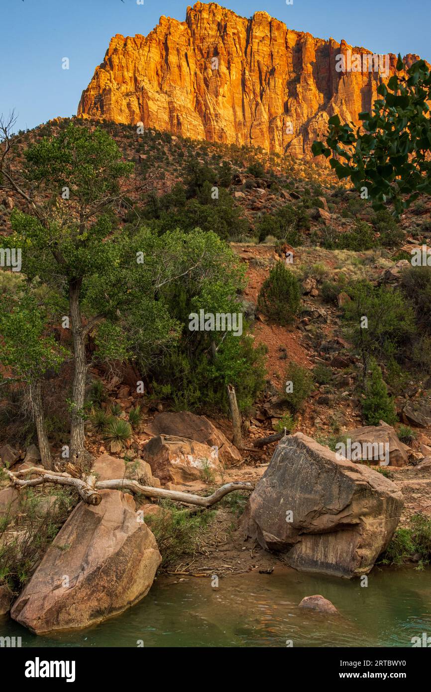 The Virgin River flows through Zion National Park and the colors of ...