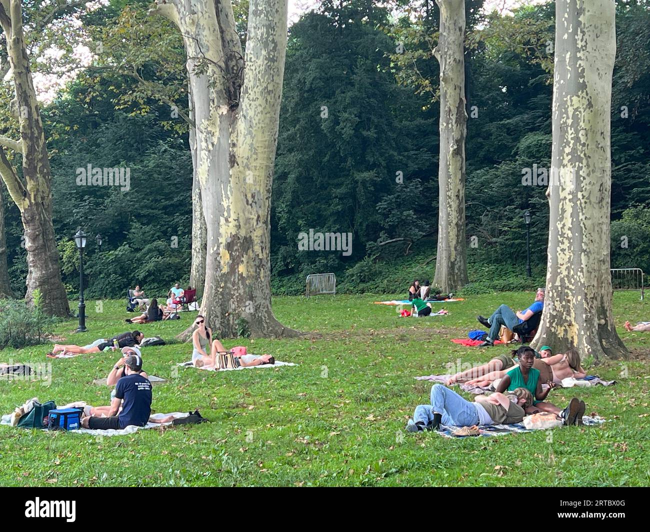 Couples and groups relaxing on the grass at LeFrak Center at Lakeside ...