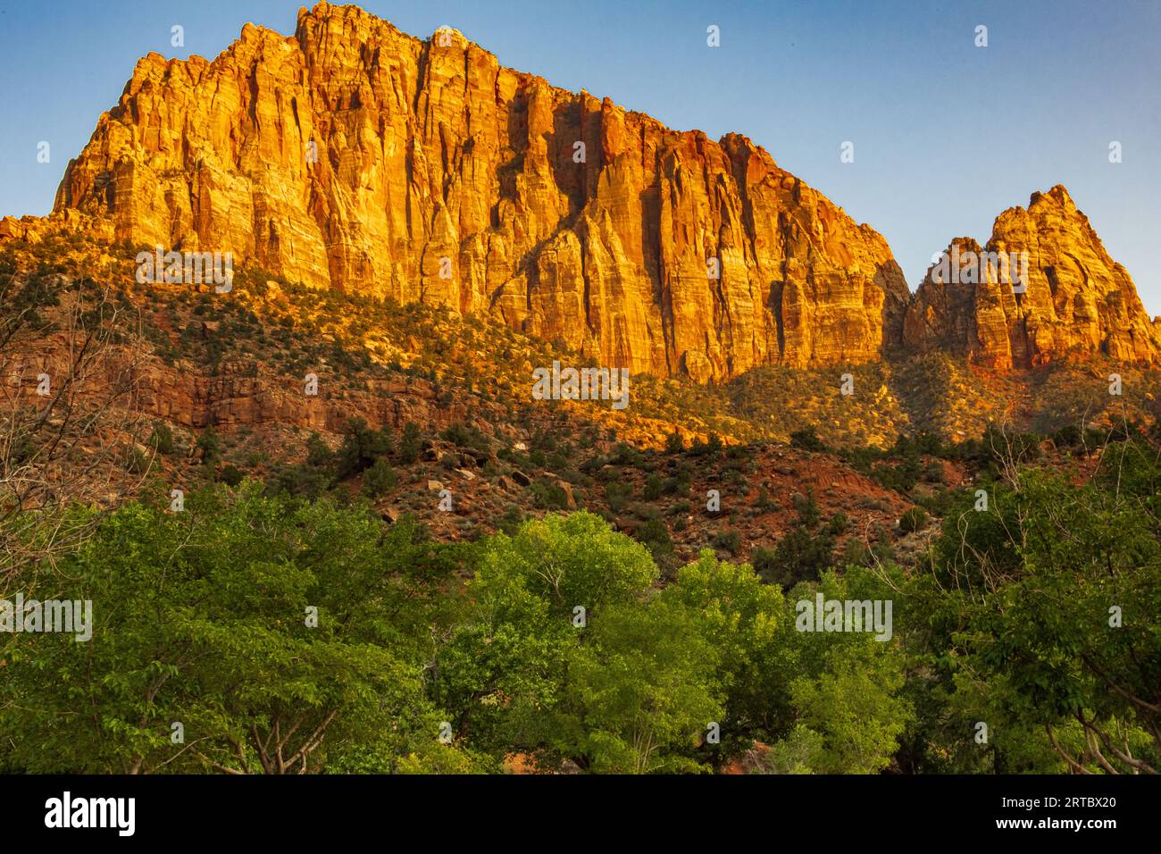 The light of evening colors the Watchman in Zion National Park Stock ...
