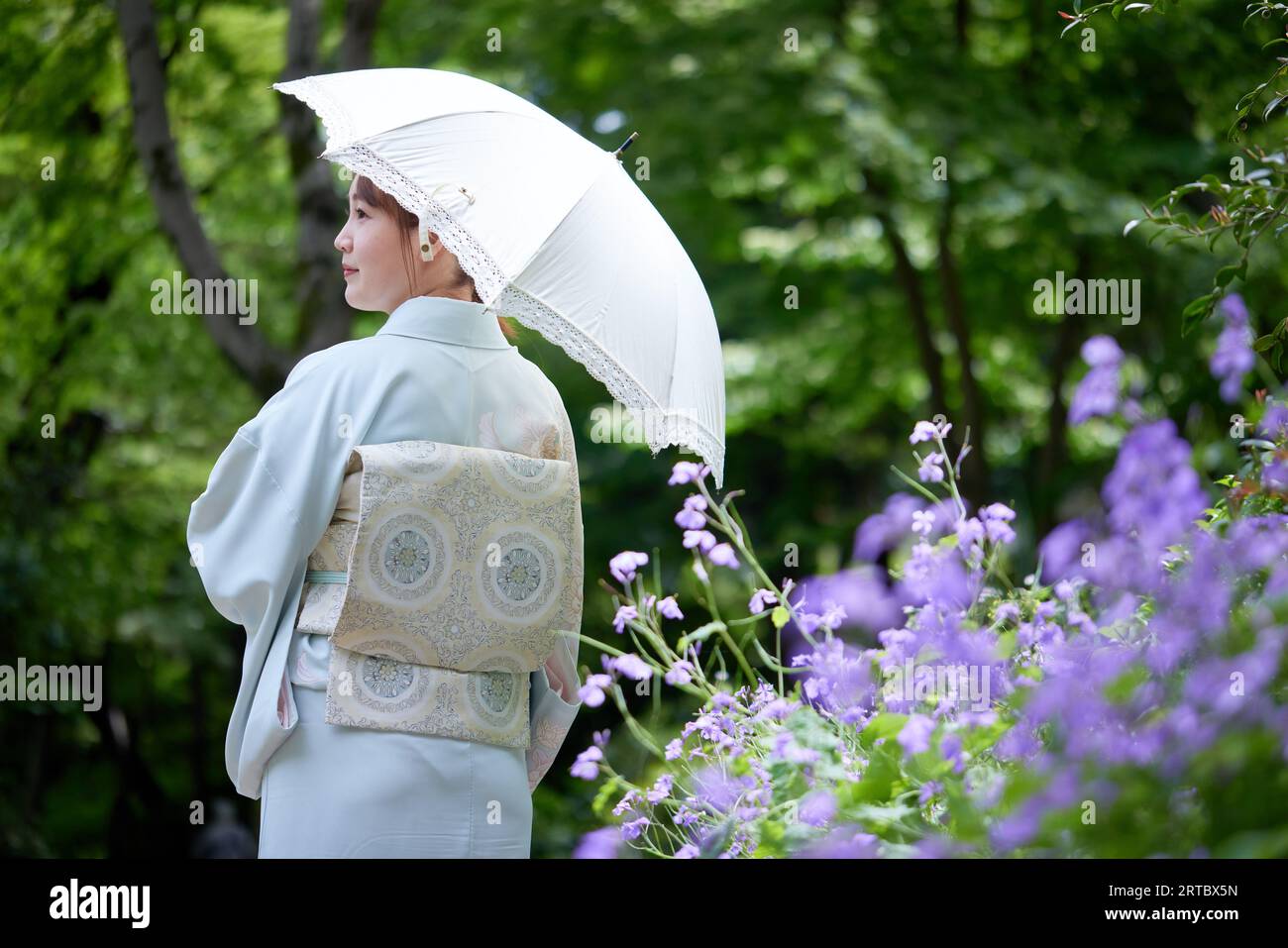 Bloom japanese culture hi-res stock photography and images - Alamy