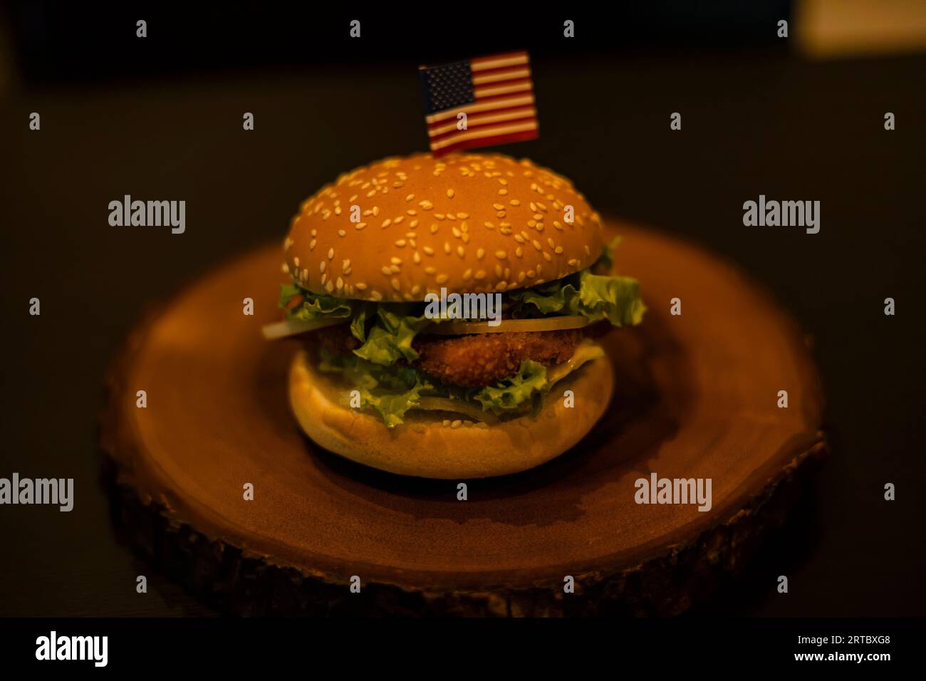 Fried Fish Burger, Backgrounds for advertisements and wallpapers in ...