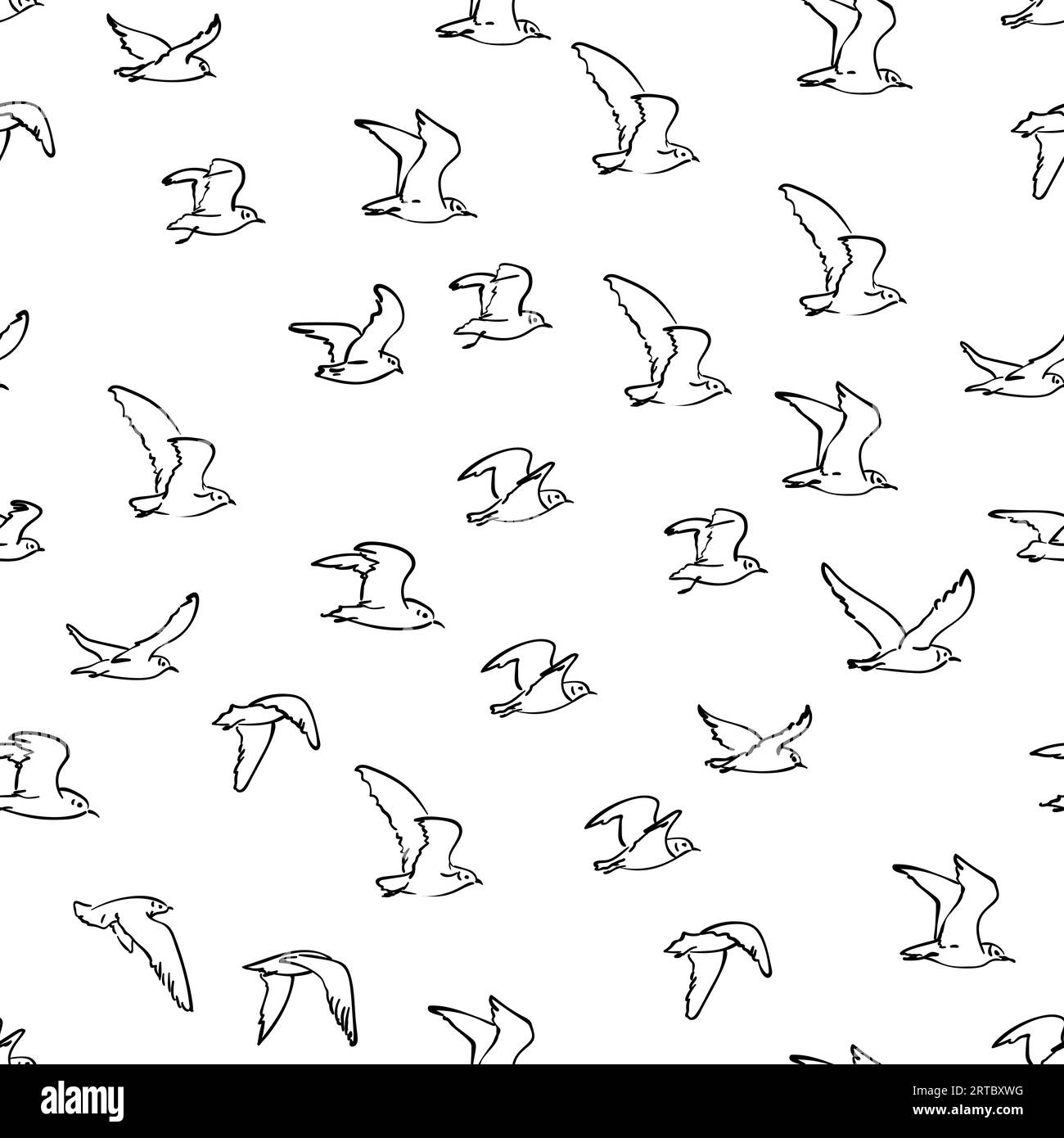 Seamless pattern Flock of flying birds drawing on white background. Vector hand drawn Stock ...