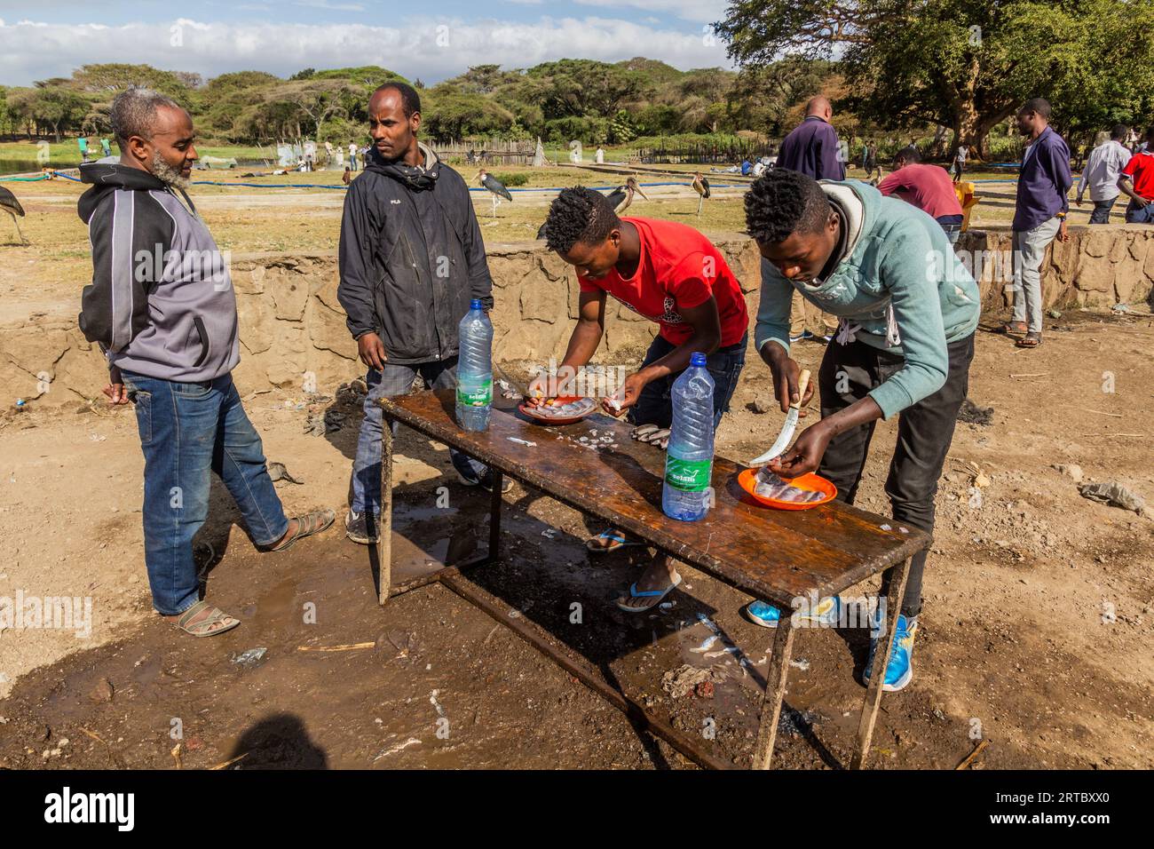 Fish market lake hawassa hawassa hi-res stock photography and images ...