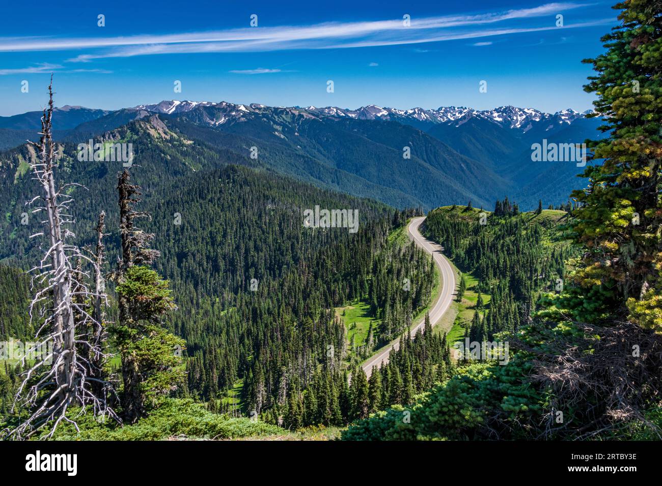 Hurricane ridge flowers hi-res stock photography and images - Alamy