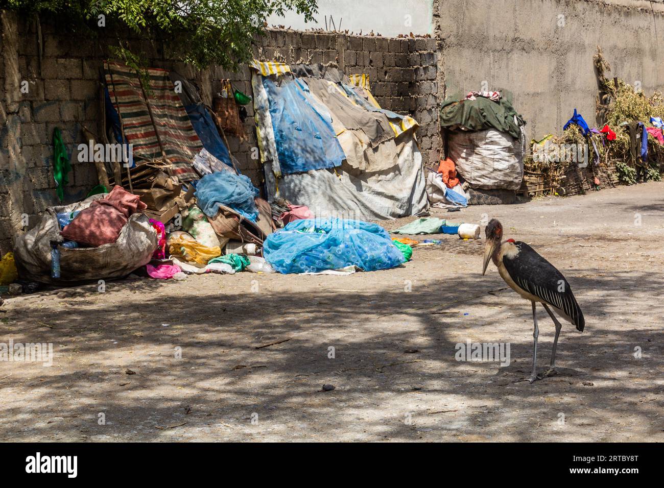 Homeless people shelters and a marabou stork in Hawassa, Ethiopia Stock ...