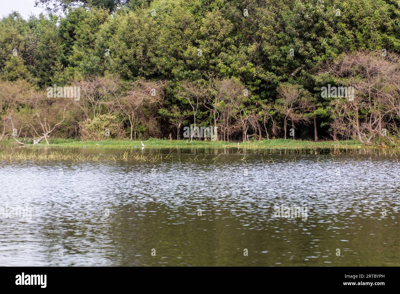 Awassa hi-res stock photography and images - Alamy