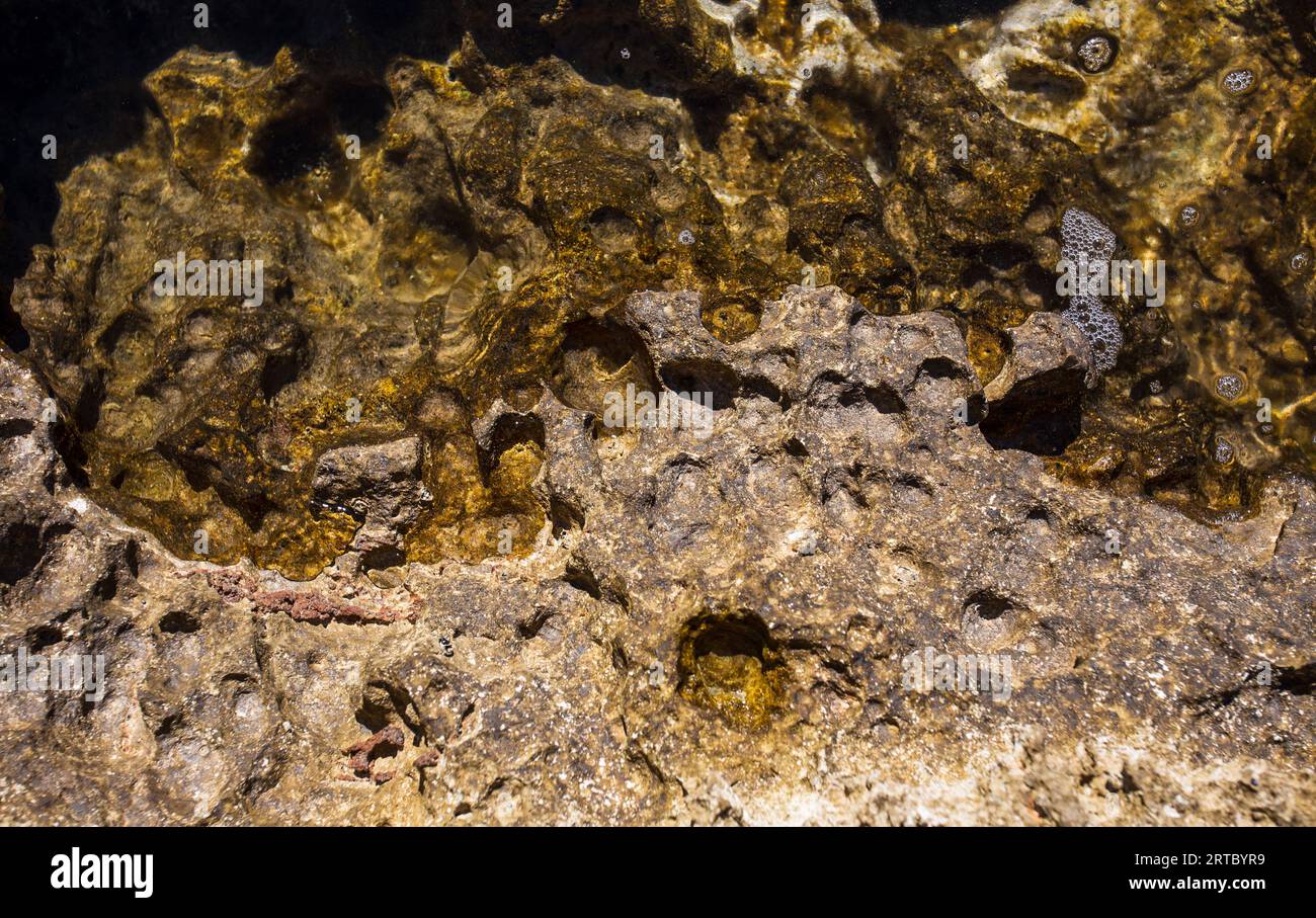Close up of water touching stone on sea coast Stock Photo - Alamy