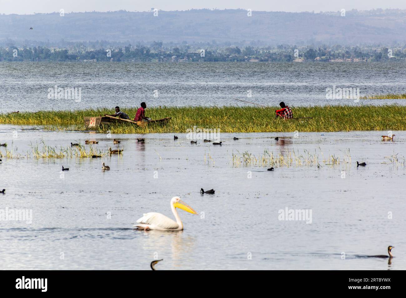 HAWASSA, ETHIOPIA - JANUARY 28, 2020: Fishermen at Awassa lake ...
