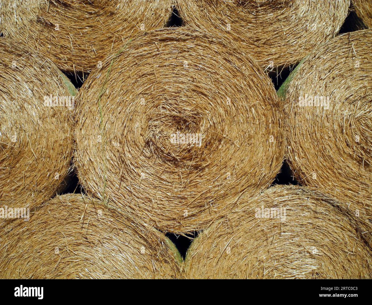 Austria, stacked straw bales used as bedding and fodder for cattle ...
