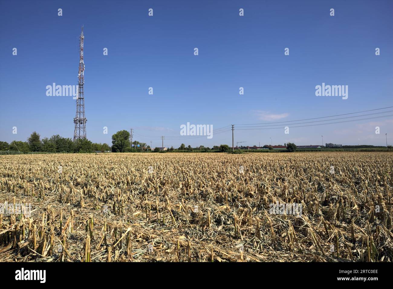 Mowed corn field next to a road with wooden pylons and a radio antenna ...