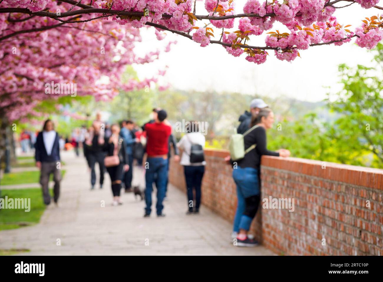 Outdoor branch park hi-res stock photography and images - Alamy