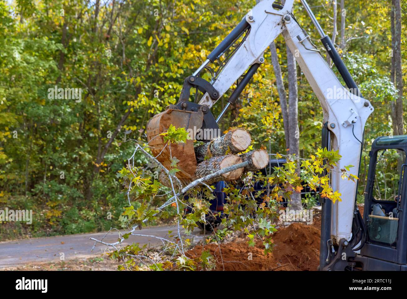Hurricane aftermath scene fallen, uprooted trees to street cleanup with ...