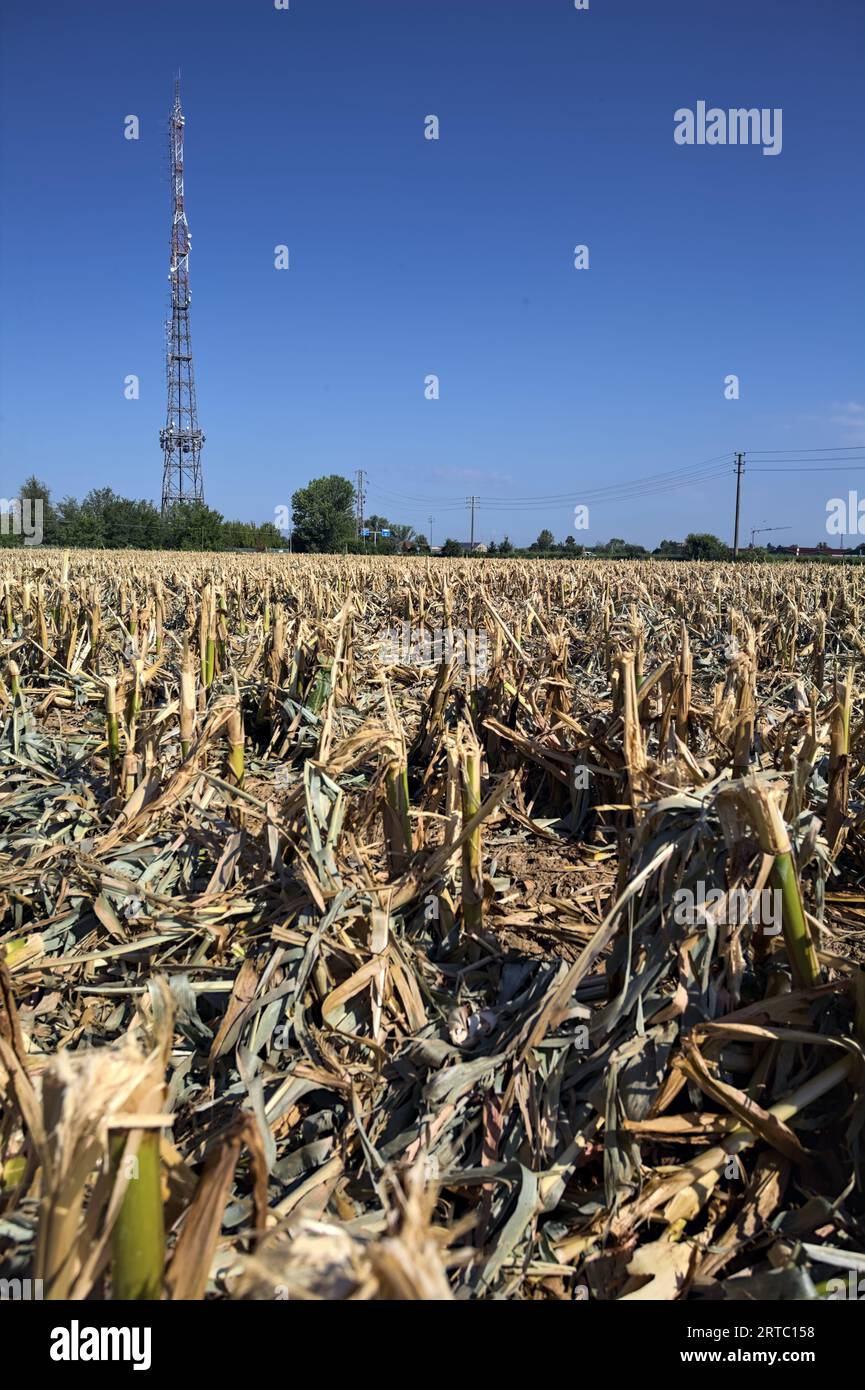 Wooden radio tower antenna in hi-res stock photography and images - Alamy
