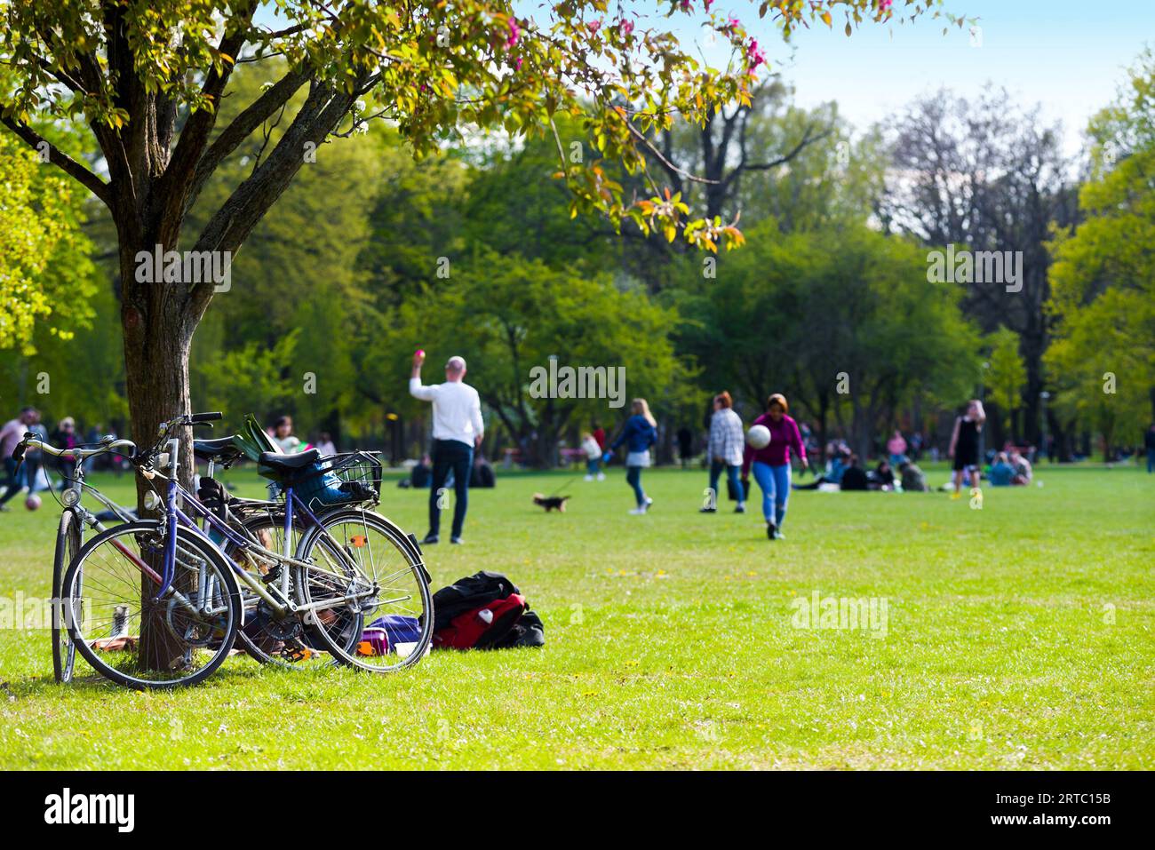 Lawn leisure hi-res stock photography and images - Alamy
