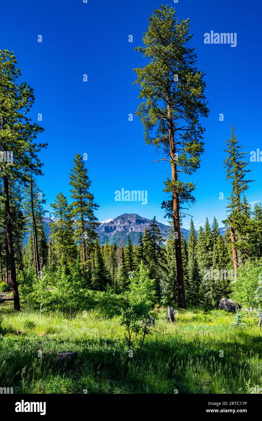 Williams Reservoir and Creek are in the wilderness between Pagosa ...