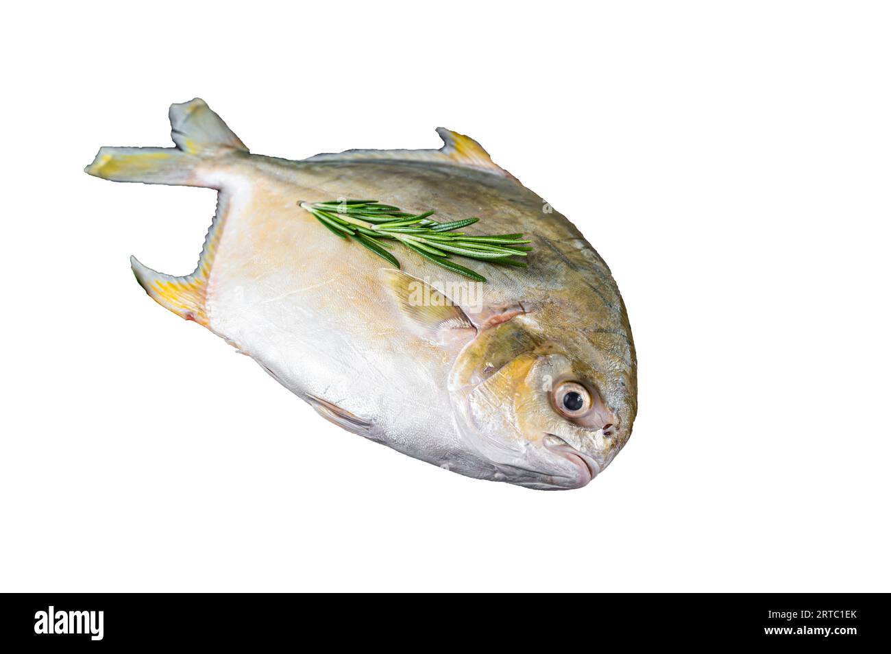 Raw fish pompano with herbs on a marble board. High quality Isolate ...