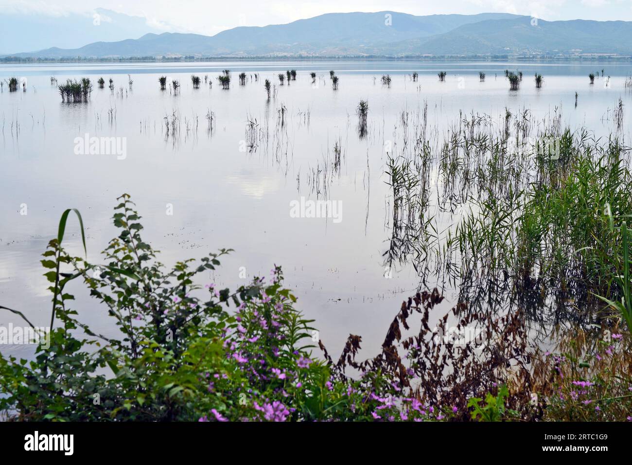 North macedonia nature hi-res stock photography and images - Alamy