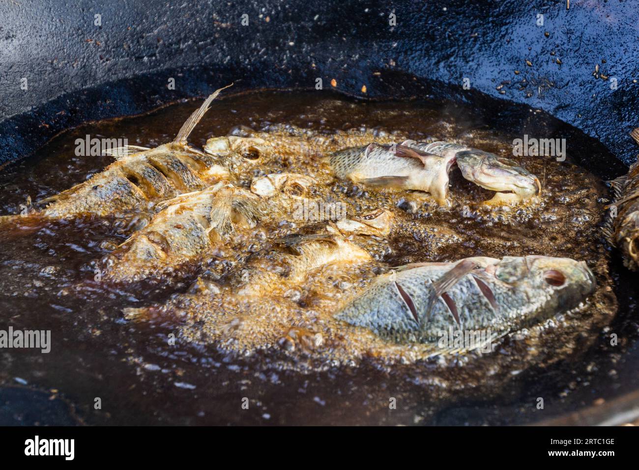 Hawassa fish market hi-res stock photography and images - Alamy