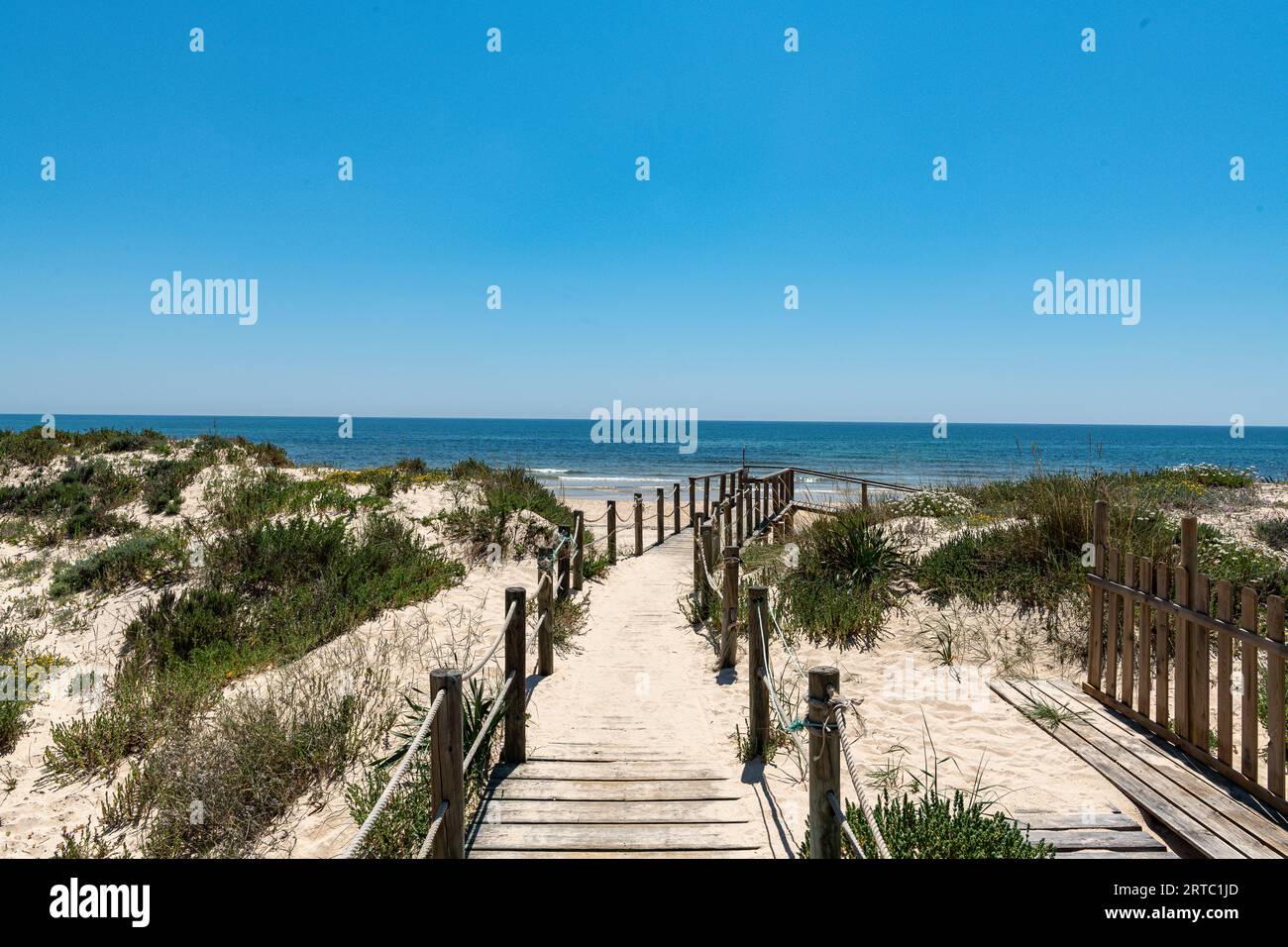 Sand dunes at Praia da Ilha da Farol beach, near Olhao, Faro, Portugal ...