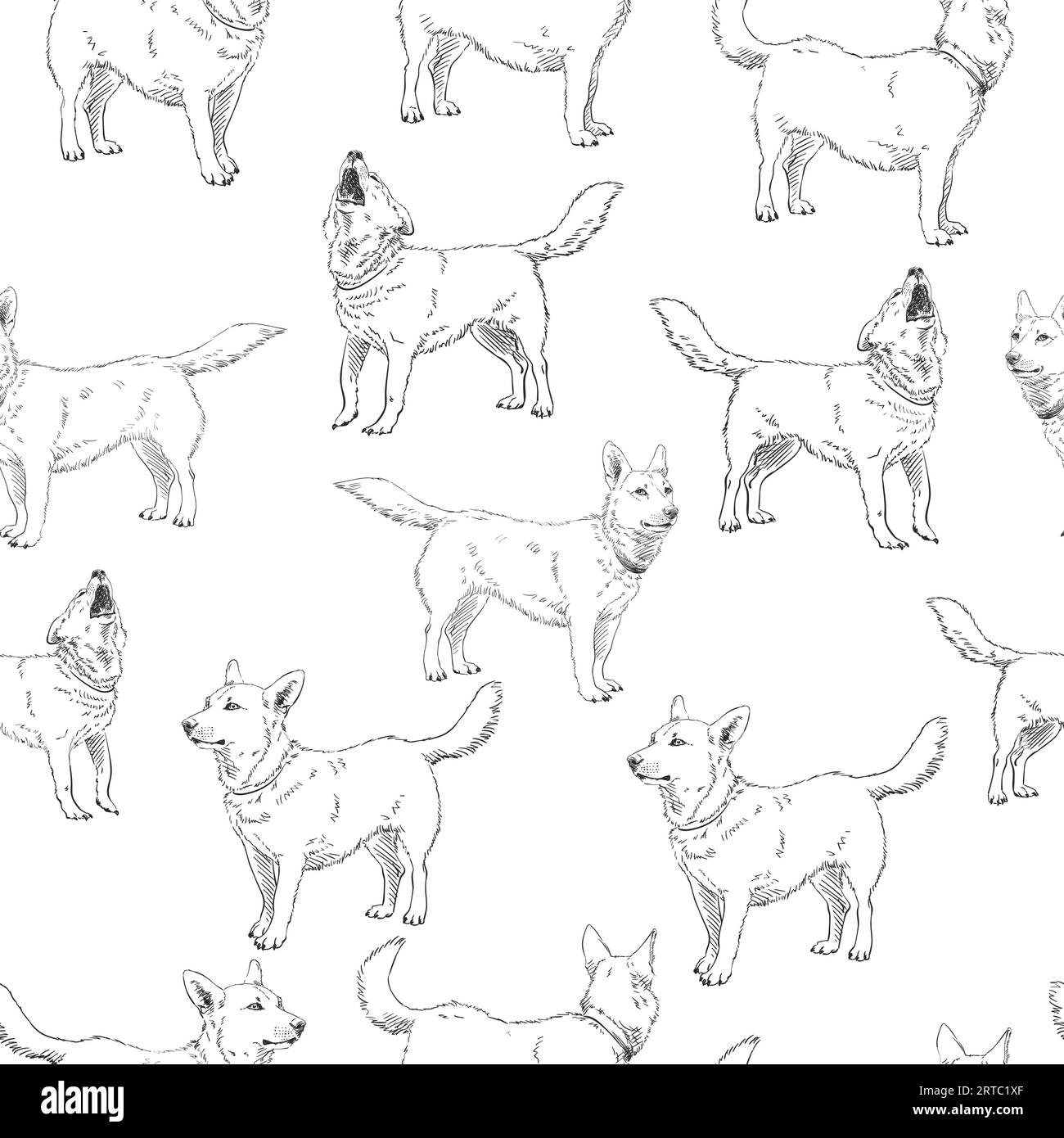 Seamless vector pattern with hand drawn sketch of dogs on white ...