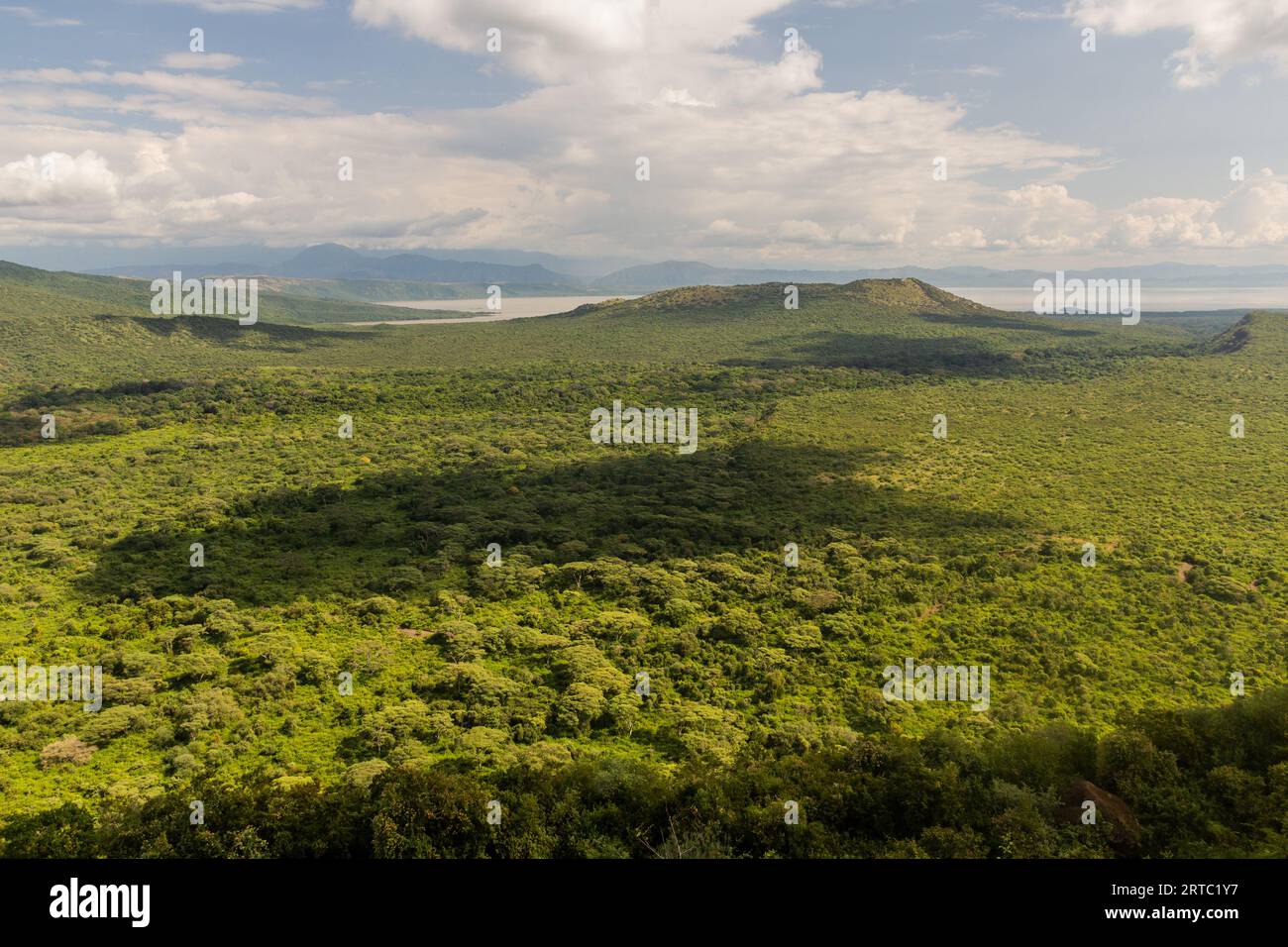 Africa tropical ethiopia conservation hi-res stock photography and ...