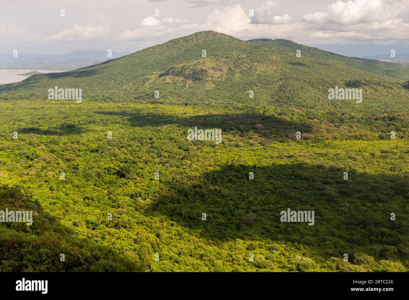 Aerial view of Nechisar National Park, Ethiopia Stock Photo - Alamy