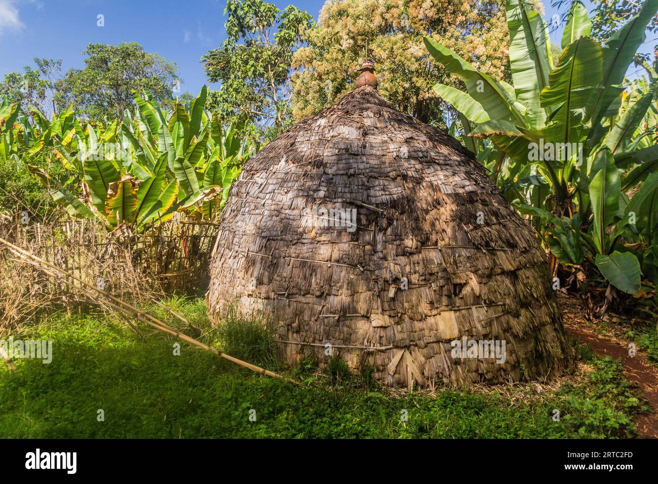 Traditional Dorze hut woven out of bamboo, Ethiopia Stock Photo - Alamy