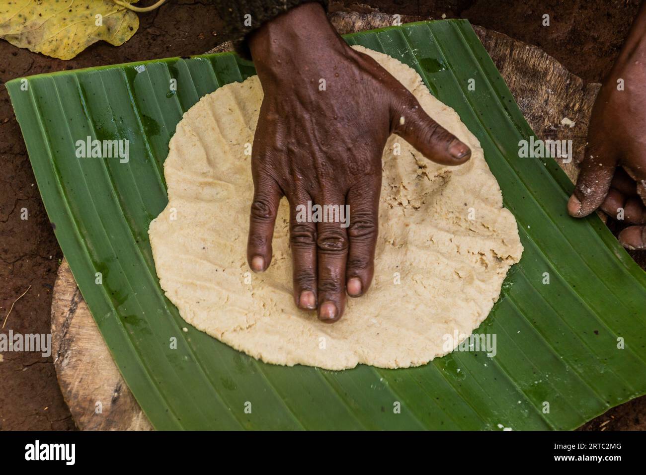 Dorze woman is preparing kocho bread made of enset (false banana ...