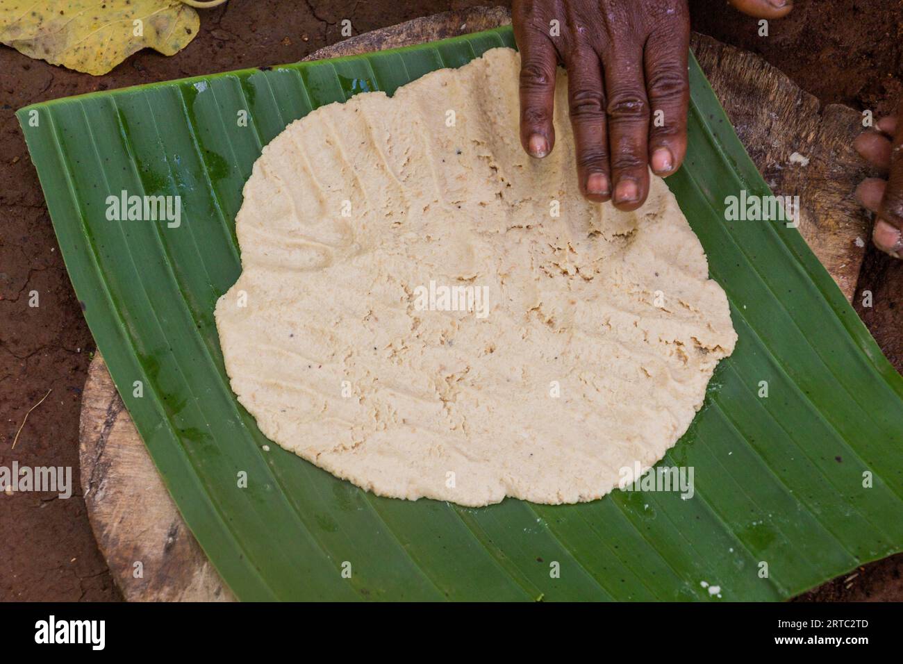 Dorze woman is preparing kocho bread made of enset (false banana ...