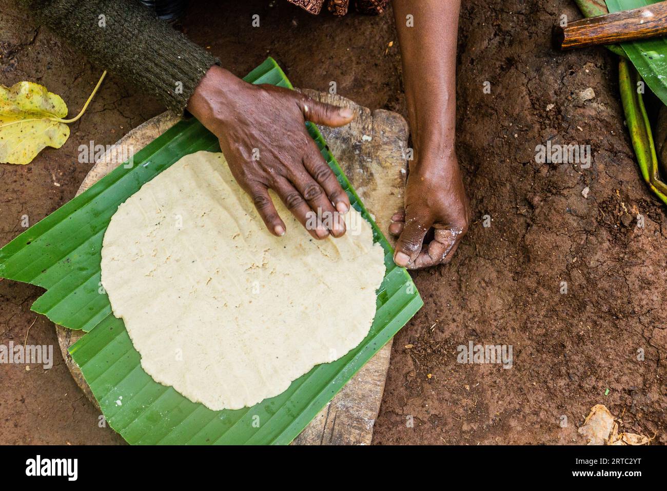 Dorze woman is preparing kocho bread made of enset (false banana ...