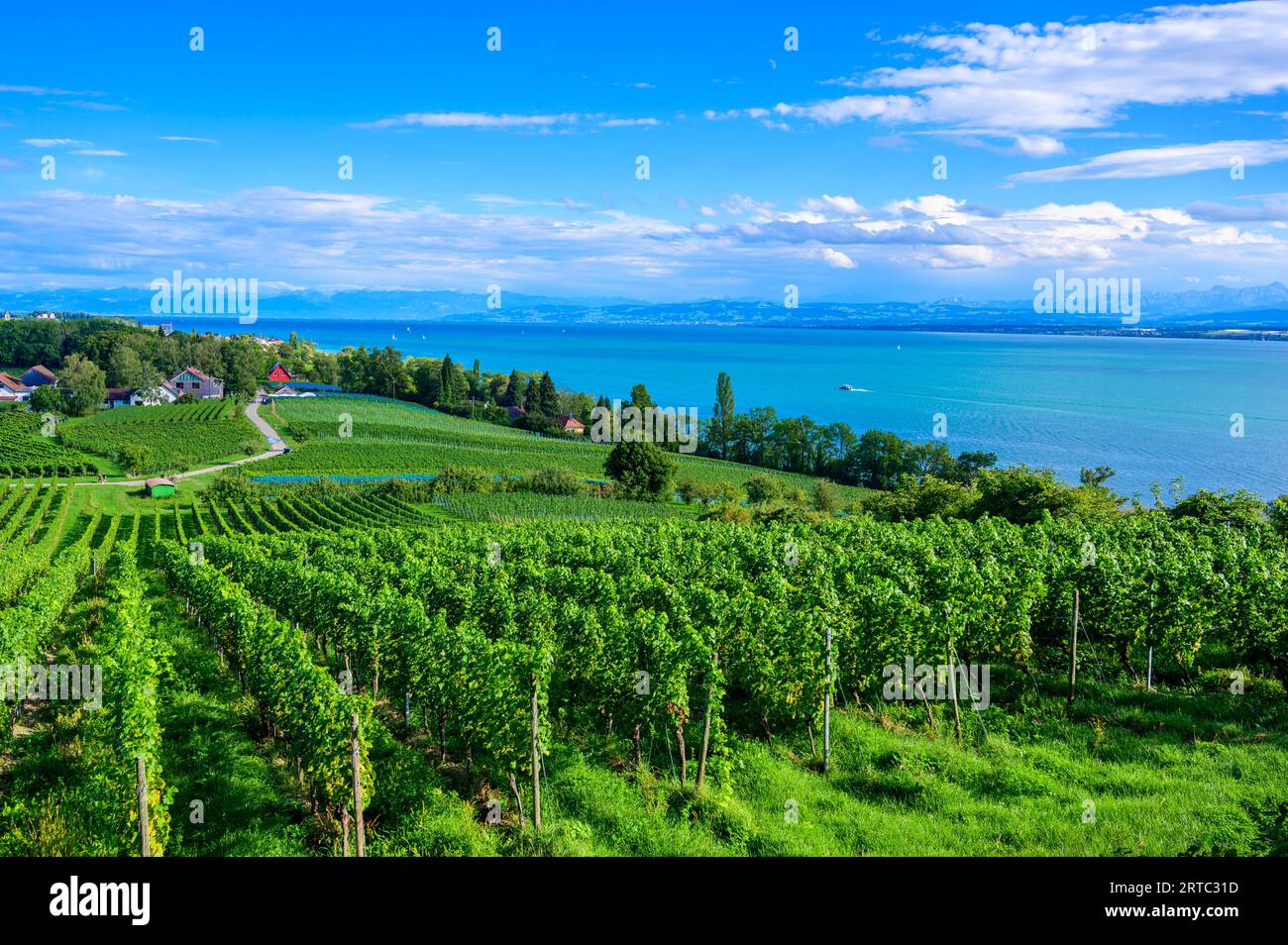Vineyards near Meersburg - beautiful landscape scenery at Lake ...