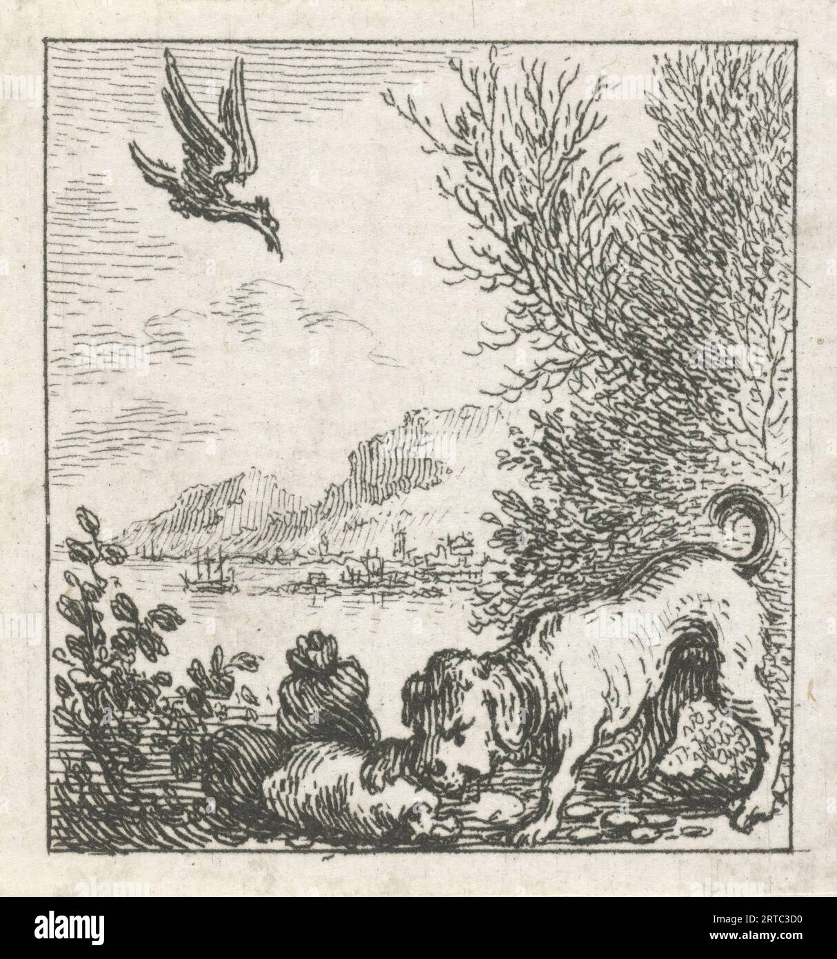 Fable of the dog and the vulture, Illustrations for fable stories of ...