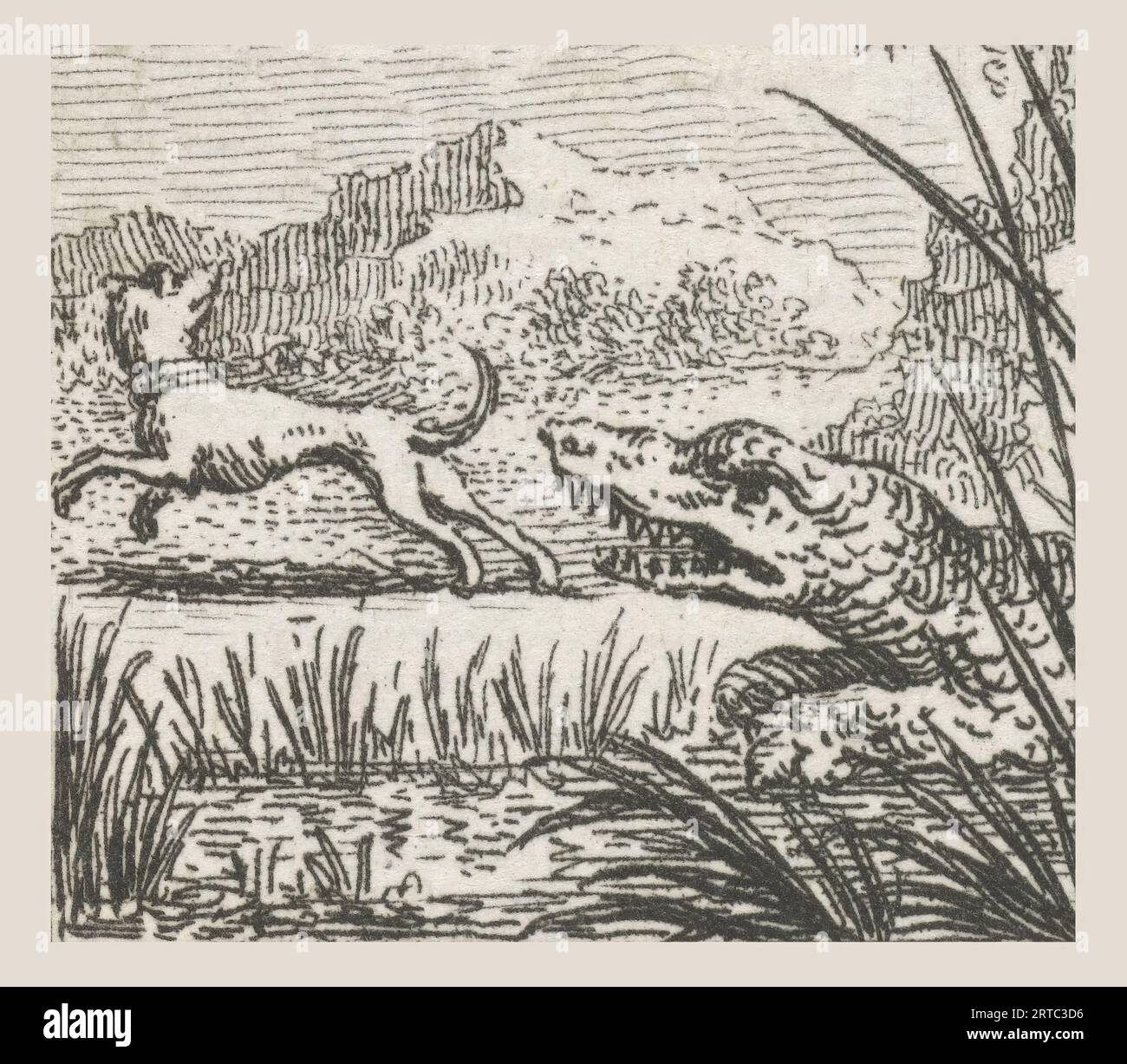 Fable of the dog and the crocodile, Illustrations for fable stories of ...