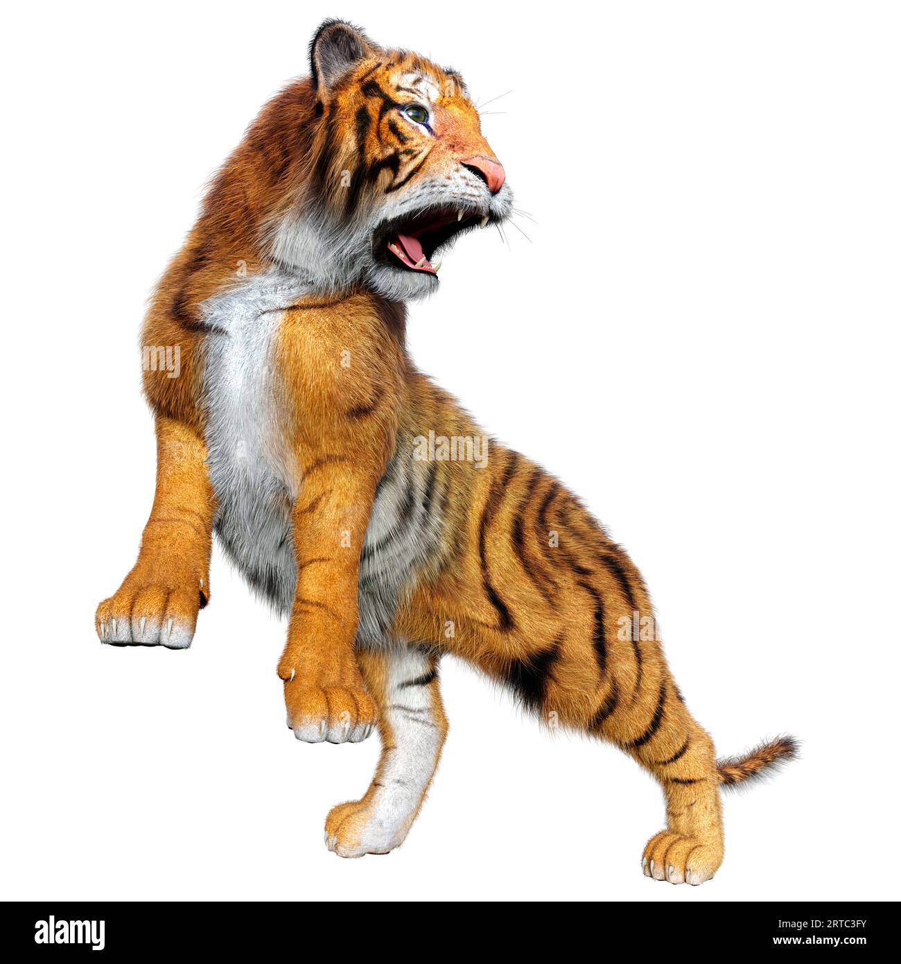 3D rendering of a big cat tiger isolated on white background Stock ...