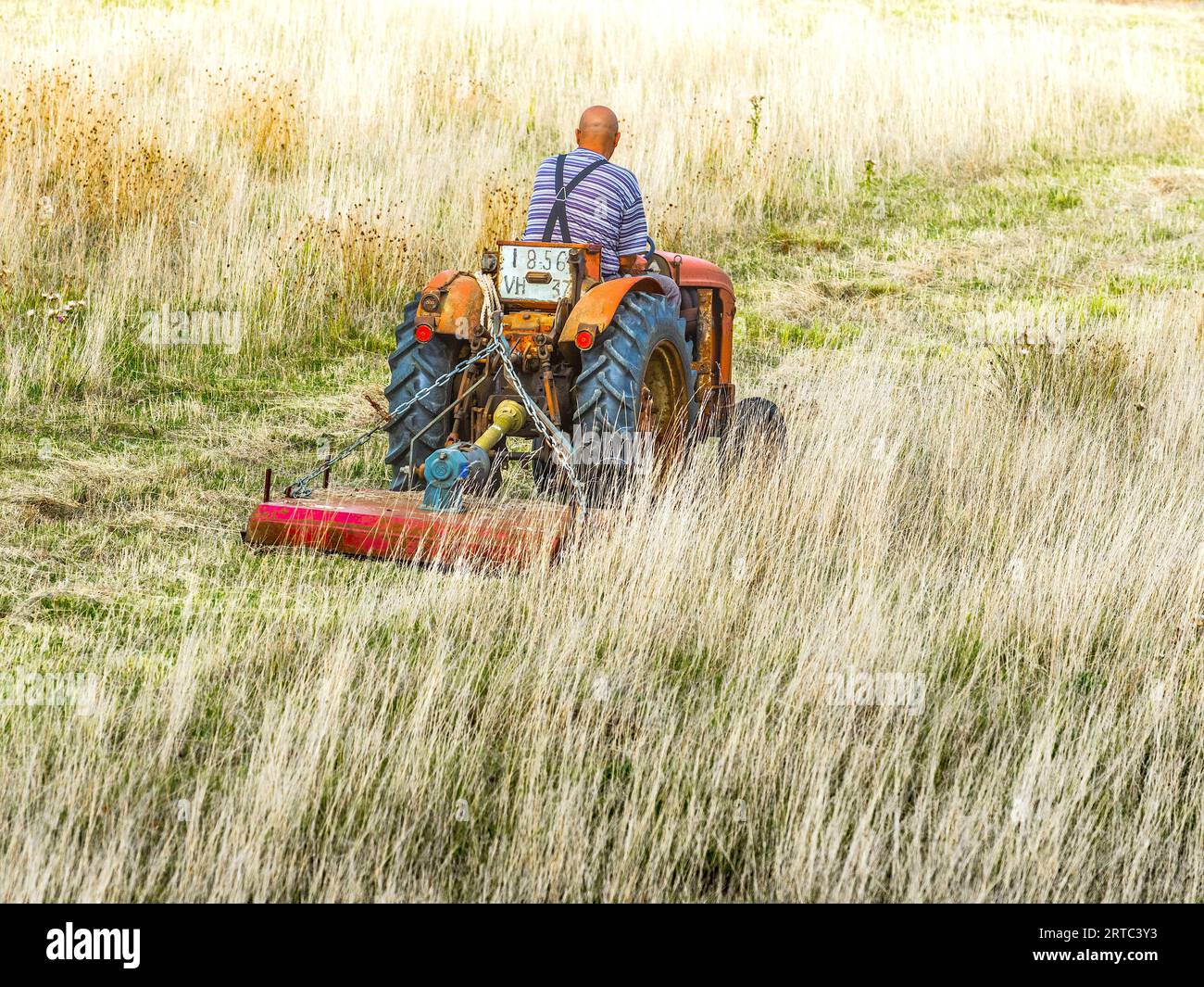 Farmer driving old Renault V37 tractor cutting long grass - Indre-et ...