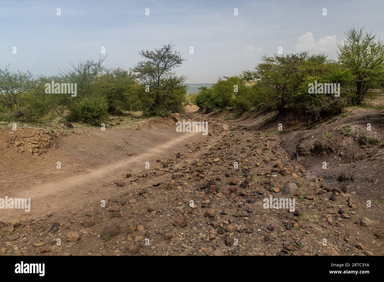 Arba minch ethiopia hi-res stock photography and images - Alamy