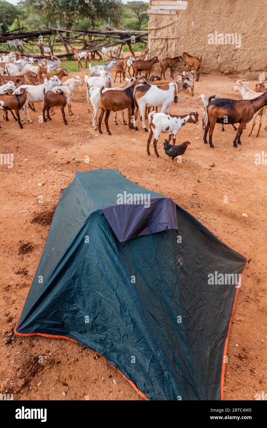 Camping in a small village of Hamer tribe near Turmi, Ethiopia Stock ...